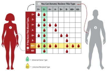 Blood Donation: What, How and Why | Department of Surgery | Washington ...