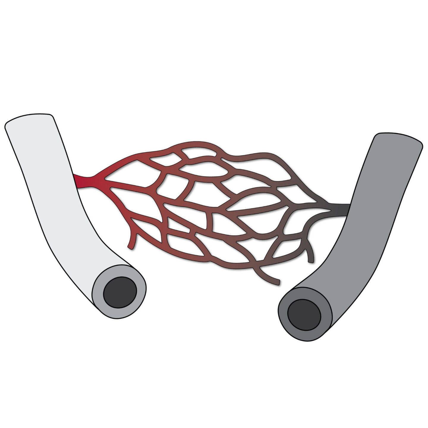 Divisions and Sections | Department of Surgery | Washington University ...