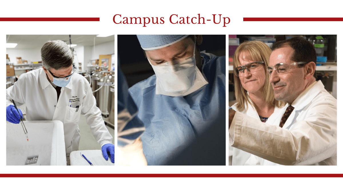 Sean English | Department of Surgery | Washington University in St. Louis