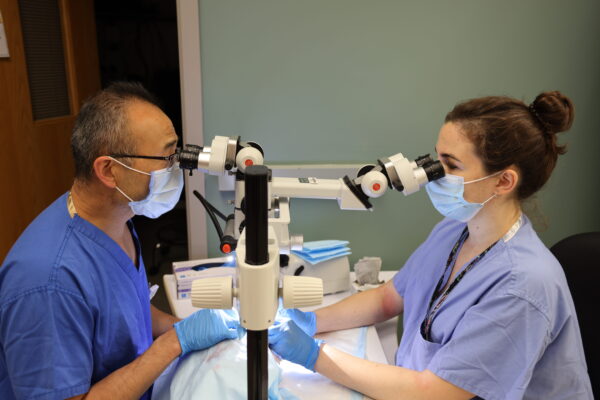 What is Microsurgery? | Department of Surgery | Washington University ...