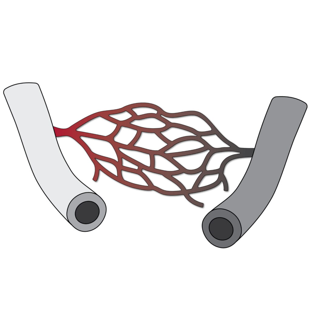 Divisions and Sections | Department of Surgery | Washington University ...
